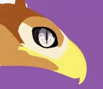 Eyes/Pupils | Griffin's Destiny Wiki | Fandom