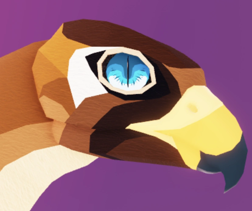 Hawk Head | Griffin's Destiny Wiki | Fandom