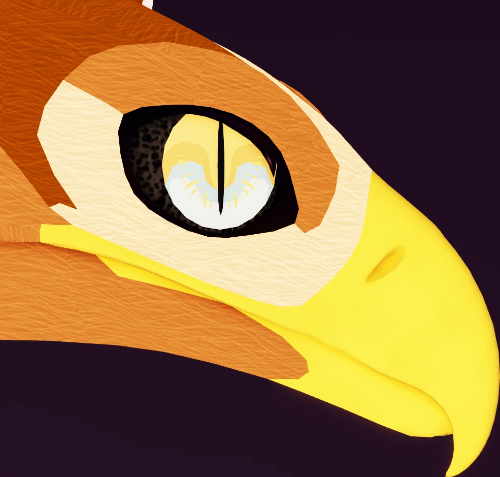 Beach | Griffin's Destiny Wiki | Fandom