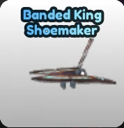 Banded King Shoemaker | Griffin's Destiny Wiki | Fandom