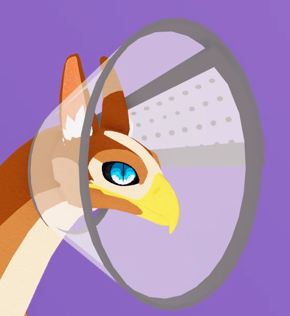 Protective Cone | Griffin's Destiny Wiki | Fandom