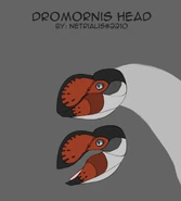 Head Crate | Griffin's Destiny Wiki | Fandom