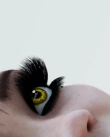 WarNymph | Grimes Wiki | Fandom