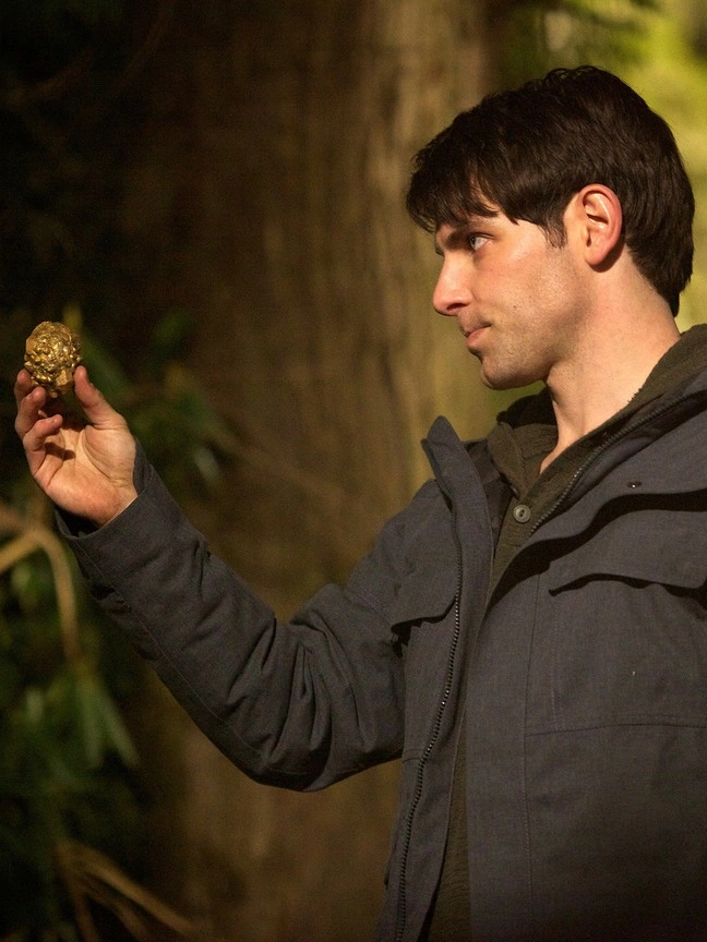 La Poule aux Œufs d'Or | Wiki Grimm | Fandom