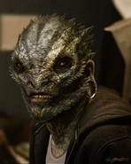 Skalengeck | Grimm Wiki | Fandom