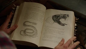 Vle di Bouyi | Grimm Wiki | Fandom