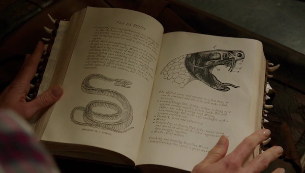 Vle di Bouyi | Grimm Wiki | Fandom