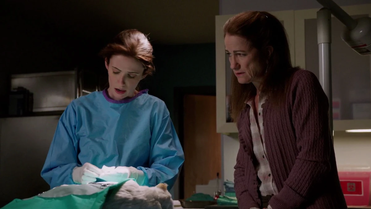 Roseway Veterinary Hospital | Grimm Wiki | Fandom