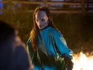 Geier | Grimm Wiki | Fandom