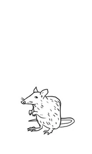 Charmed Rat | Grimm Wiki | Fandom