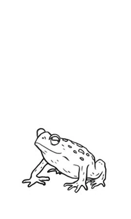 Toad | Grimm Wiki | Fandom