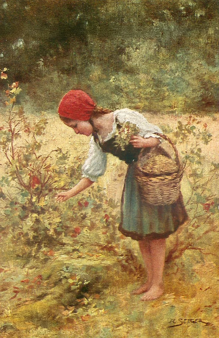 Hermann Seeger | Grimm-Bilder Wiki | Fandom