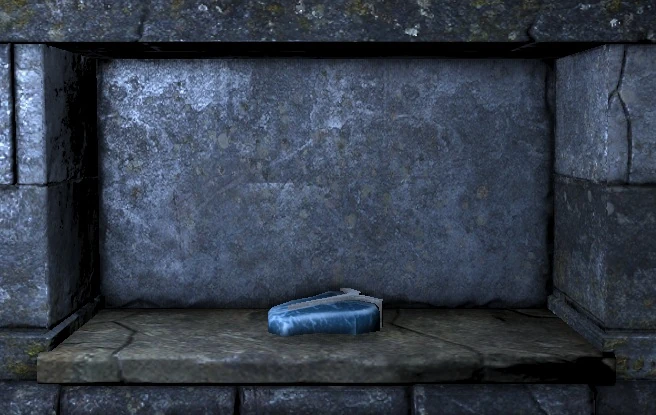 Ice Lizard Steak | Legend of Grimrock Wiki | Fandom