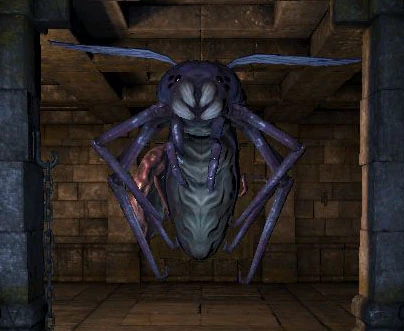 Shrakk Torr | Legend of Grimrock Wiki | Fandom