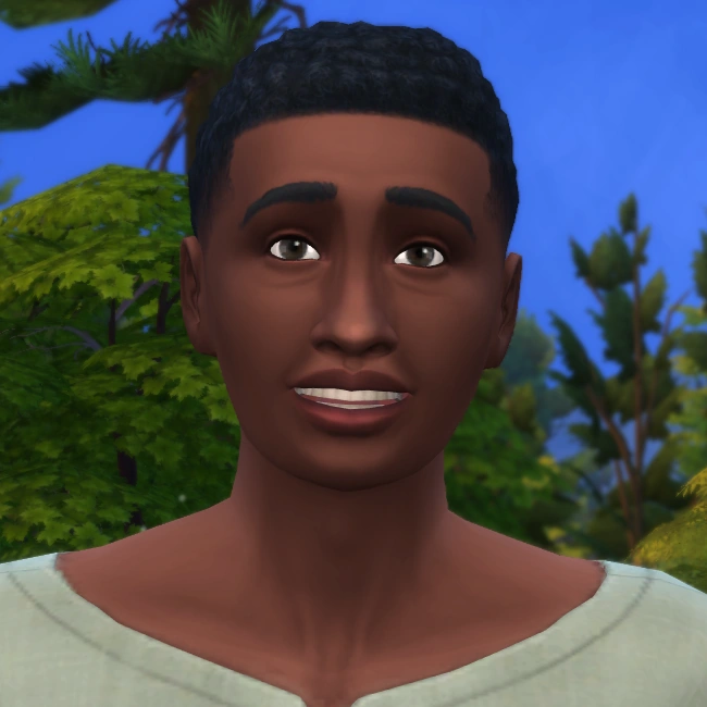 Alon Sadya | Grippno’s Sims 4 Survivor Wiki | Fandom