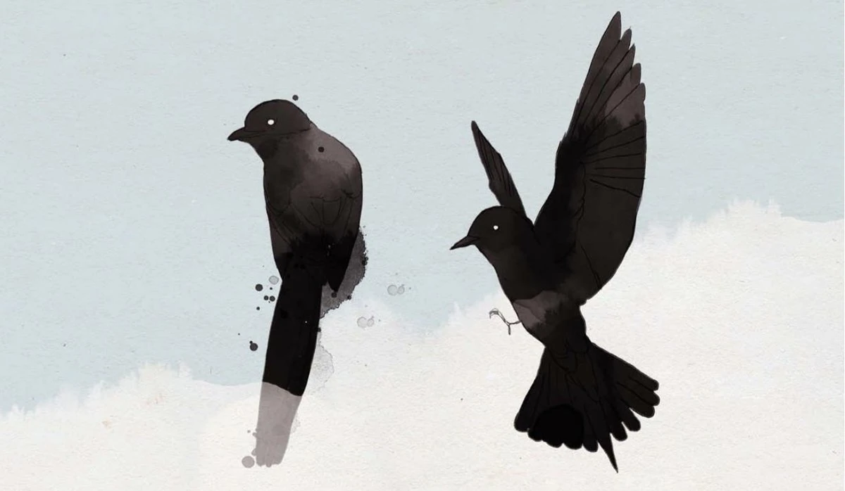 Black Bird | GRIS Wiki | Fandom