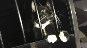 The Break In | Grob comics Wiki | Fandom