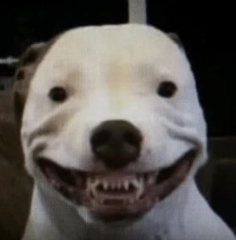 GronFriendly | Official GronGrinder Lore Wiki | Fandom