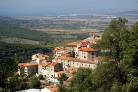 Gavorrano | Grossetopedia Wiki | Fandom