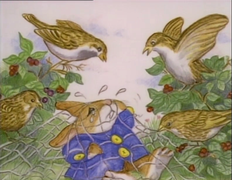 Sparrows (The Tale of Peter Rabbit) | Golden Book Video Wiki | Fandom