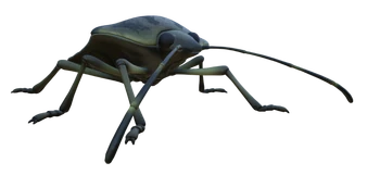 Stinkbug | Grounded Wiki | Fandom