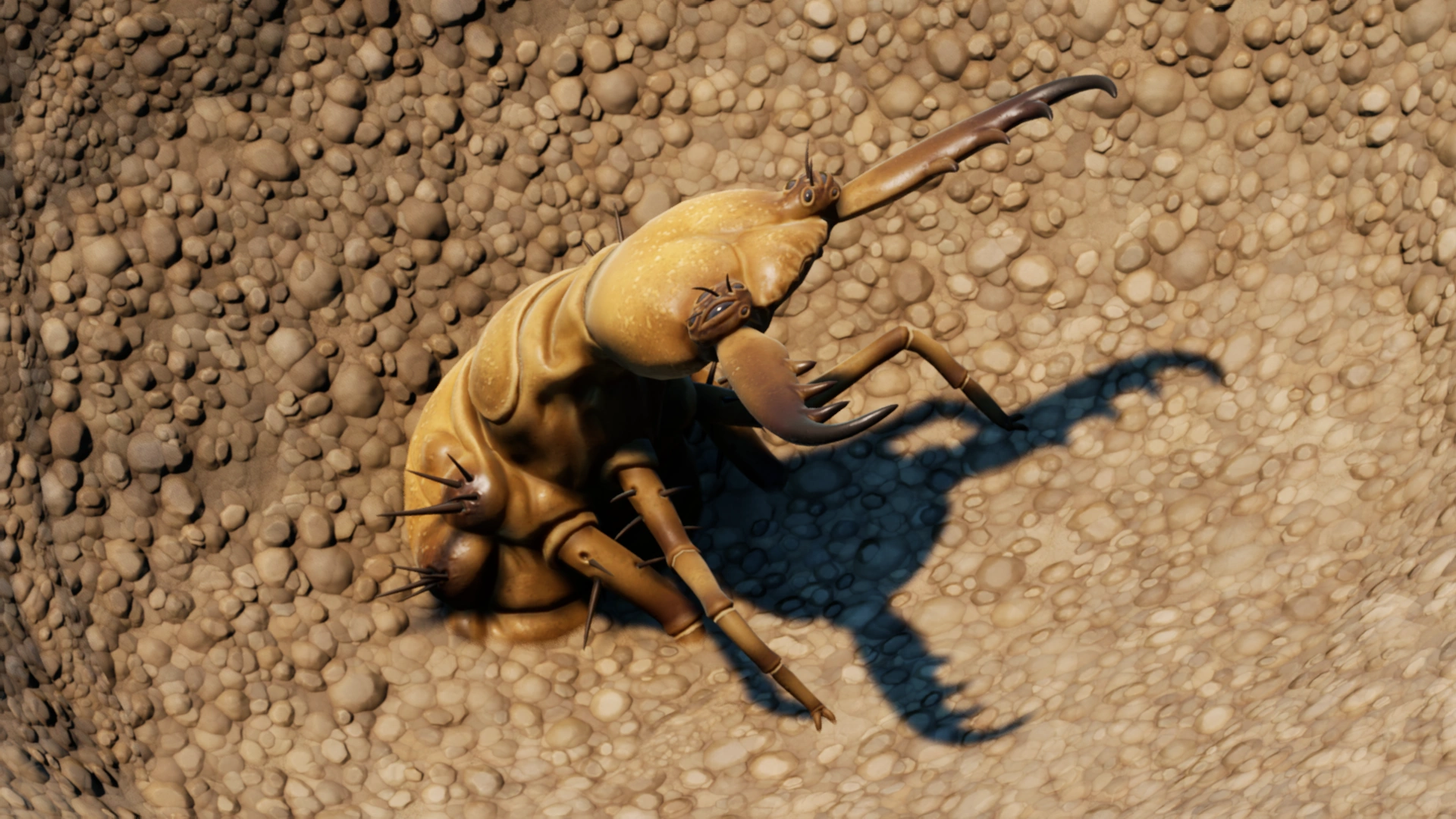 Ant Lion