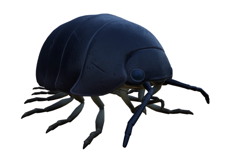 Roly Poly Bugs Eat What