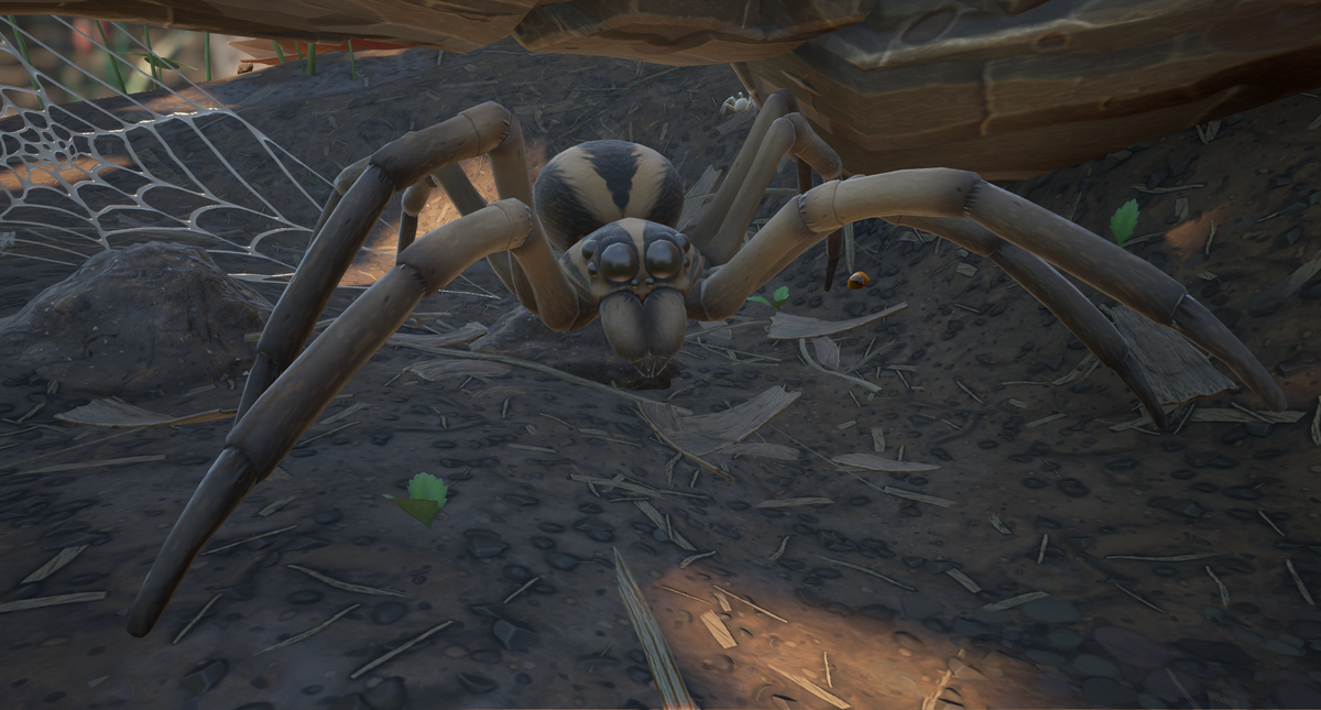 Wolf Spider | Grounded Wiki | Fandom Wolf Spider | Grounded Wiki | Fandom
