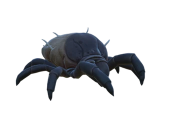 Tick | Grounded Wiki | Fandom