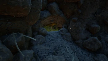 Upper Yard Caverns | Grounded Wiki | Fandom