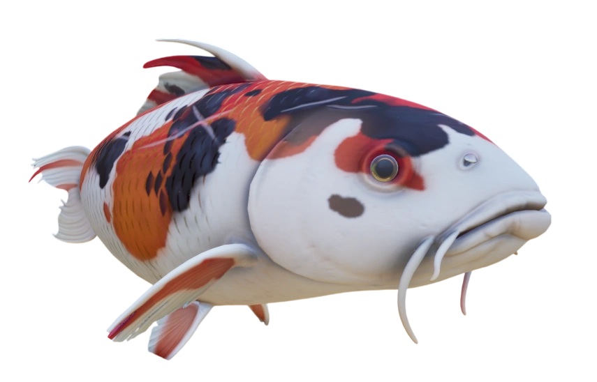 Discuss Everything About Grounded Wiki | Fandom