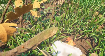 Fallen Oak Branch | Grounded Wiki | Fandom