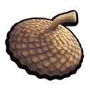 Acorn Top | Grounded Wiki | Fandom