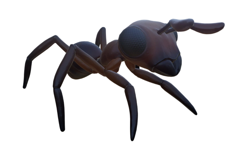 Baby Red Ant | Grounded Wiki | Fandom