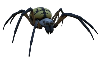 Orb Weaver | Grounded Wiki | Fandom