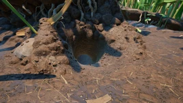 Upper Yard Caverns | Grounded Wiki | Fandom