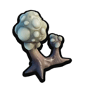Strange Spore | Grounded Wiki | Fandom