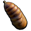 Pupa | Grounded Wiki | Fandom