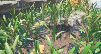 Grasslands | Grounded Wiki | Fandom