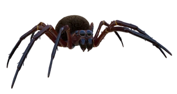 Diving Bell Spider | Grounded Wiki | Fandom