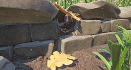 Upper Yard Ascent | Grounded Wiki | Fandom