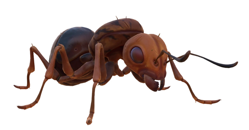 Discuss Everything About Grounded Wiki | Fandom