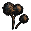 Bur Weed | Grounded Wiki | Fandom