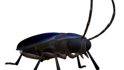 Discuss Everything About Grounded Wiki | Fandom