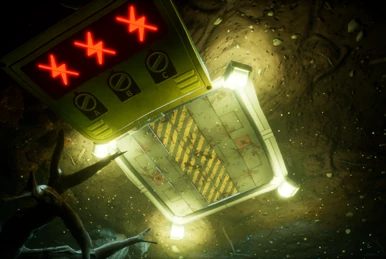 Eelgrass Strand Grounded