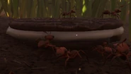 Red Worker Ant | Grounded Wiki | Fandom