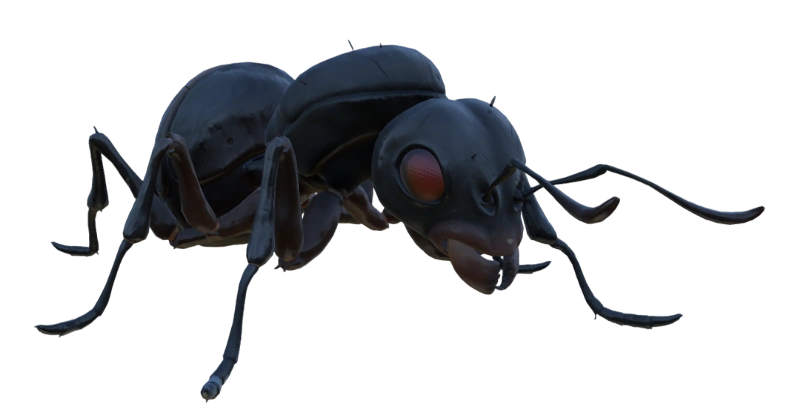 Black Ant Queen | Grounded Wiki | Fandom