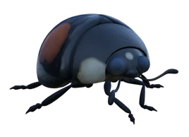 Ladybird | Grounded Wiki | Fandom