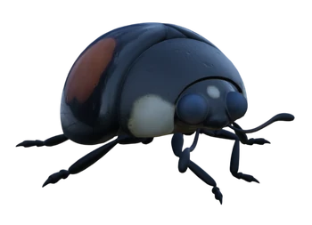 Ladybird | Grounded Wiki | Fandom