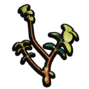 Husky Weed | Grounded Wiki | Fandom